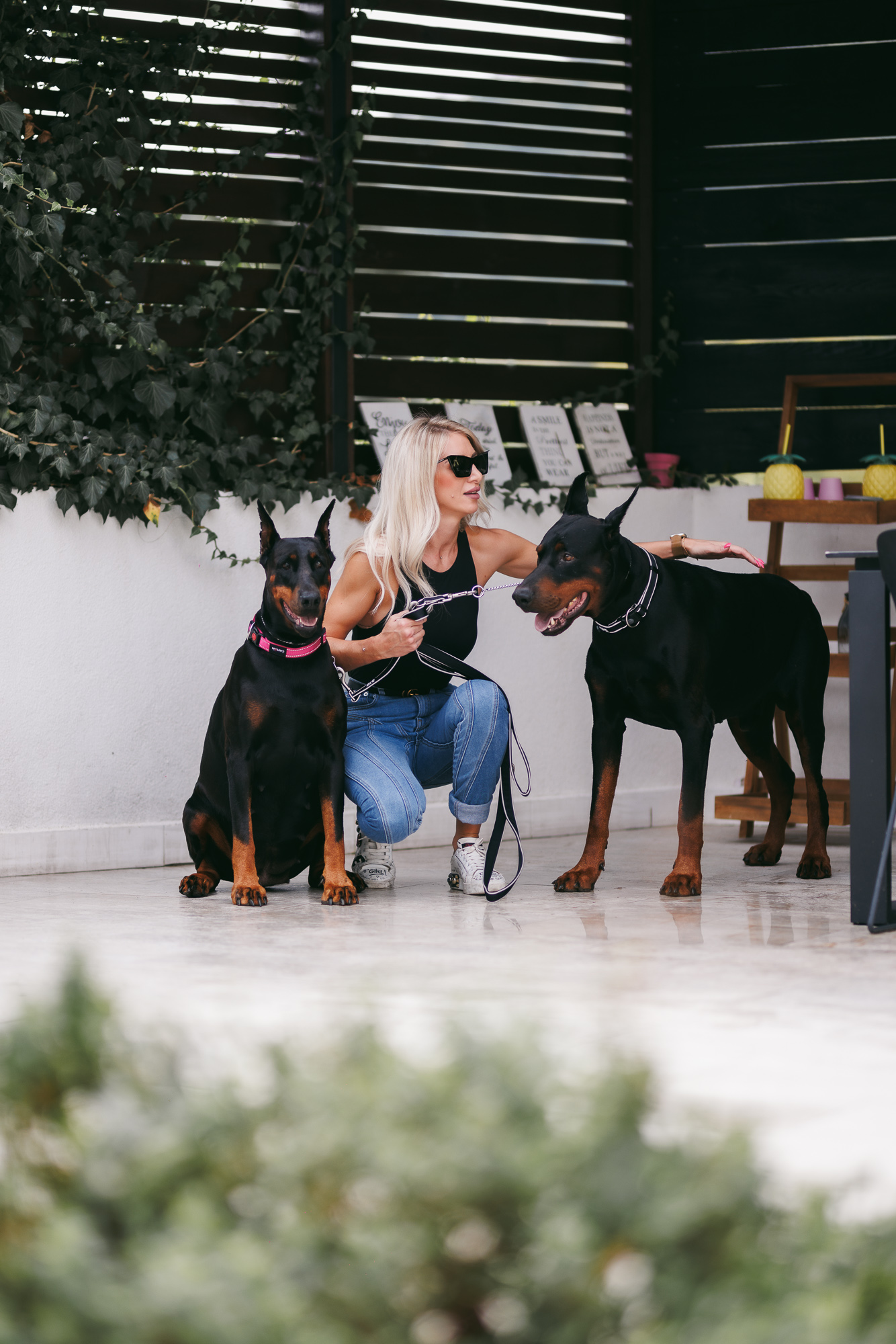 DogLoveRI: Nora Gračanin i Deus, Luxury i Zed - Stilueta